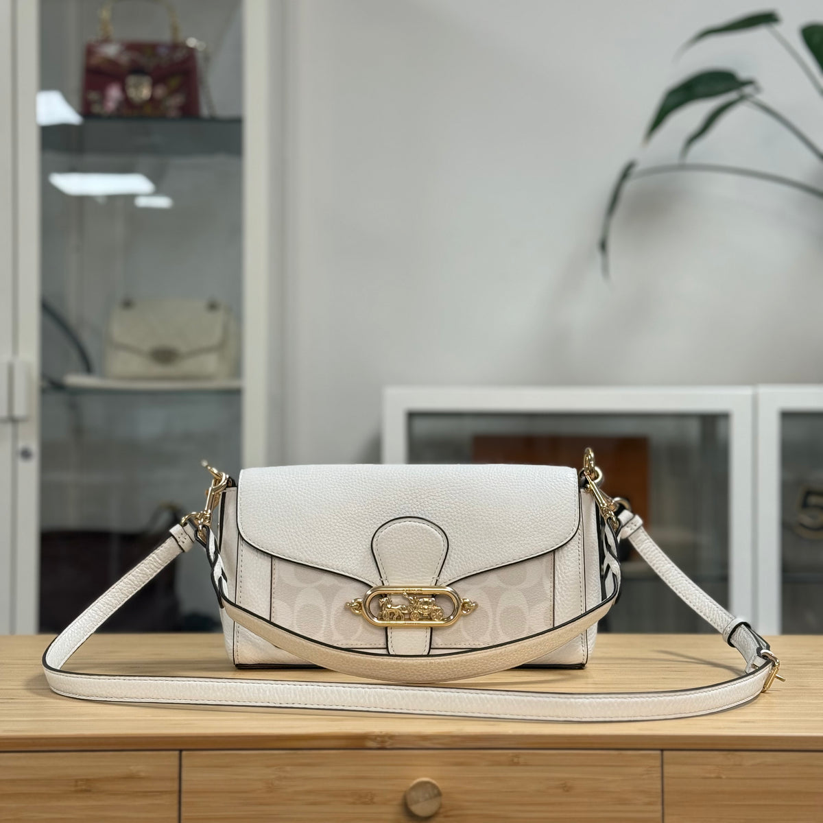Coach Signature Jade Messenger – ARMCANDY BAG CO